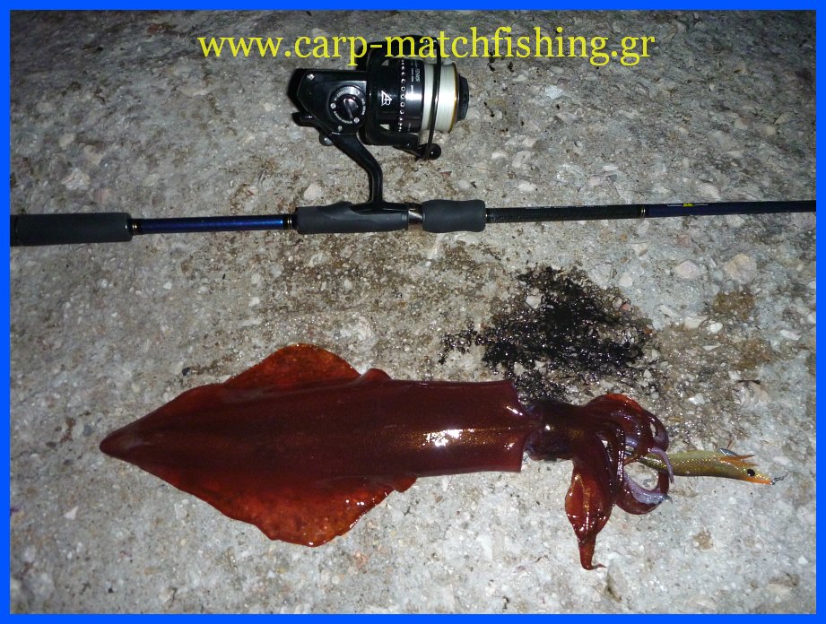 Παρουσίαση των καλαμαριέρων Harimitsu Sumizoku και Shimatsu